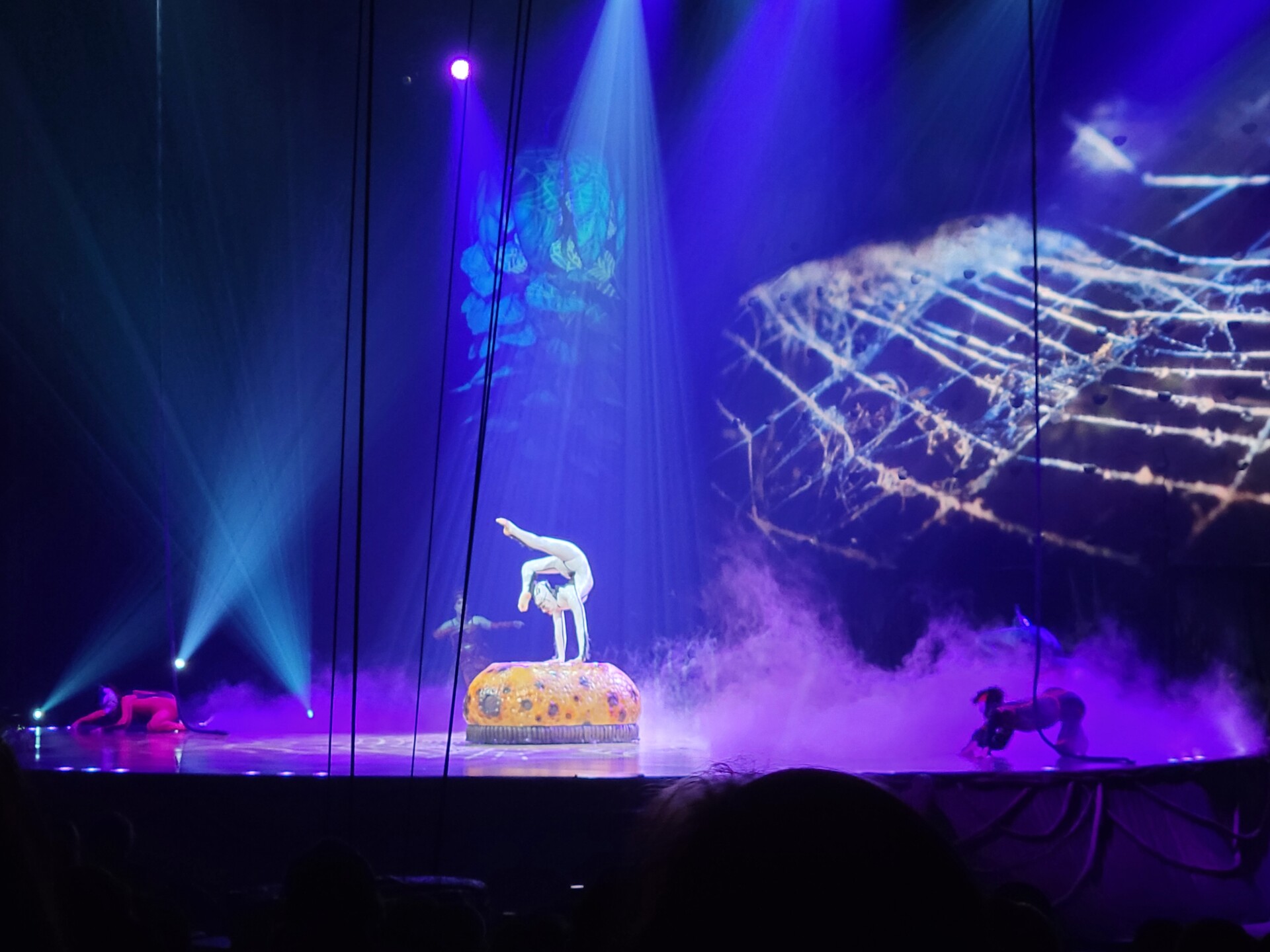 Cirque du Soleil "OVO" Show Review - Socalthrills.com