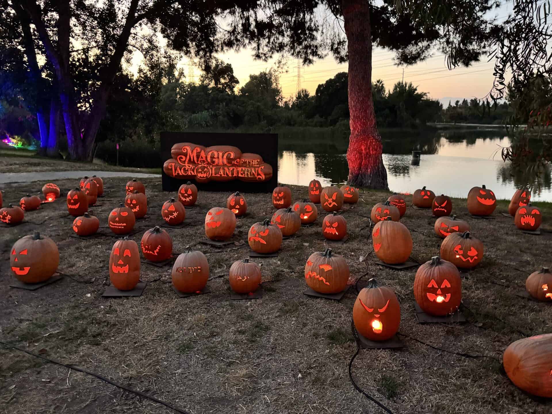 REVIEW: Magic of the Jack O'Lanterns enchants the entire family ...