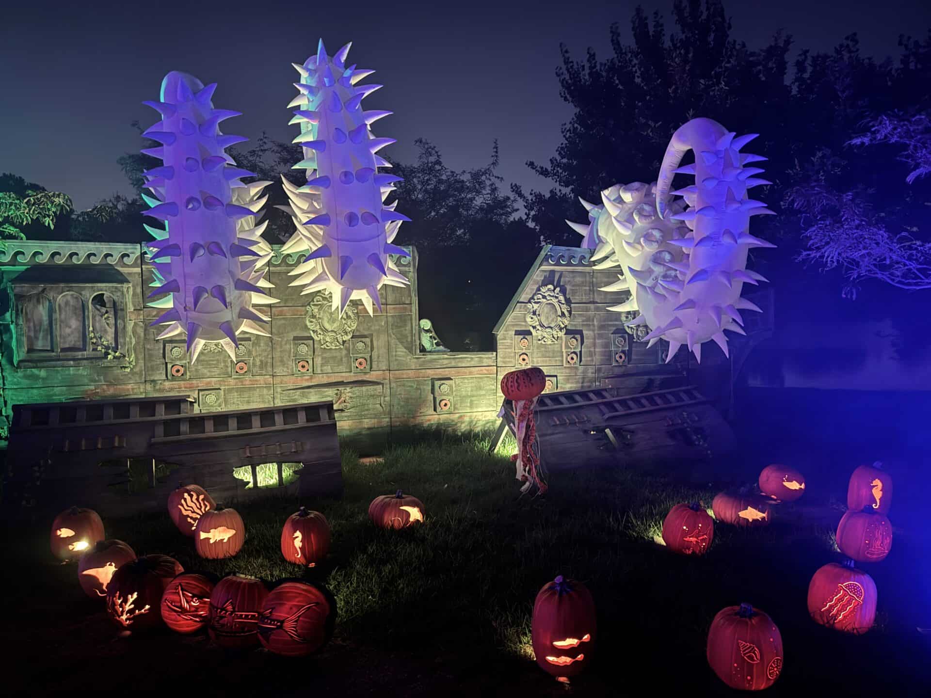 REVIEW: Magic of the Jack O'Lanterns enchants the entire family ...