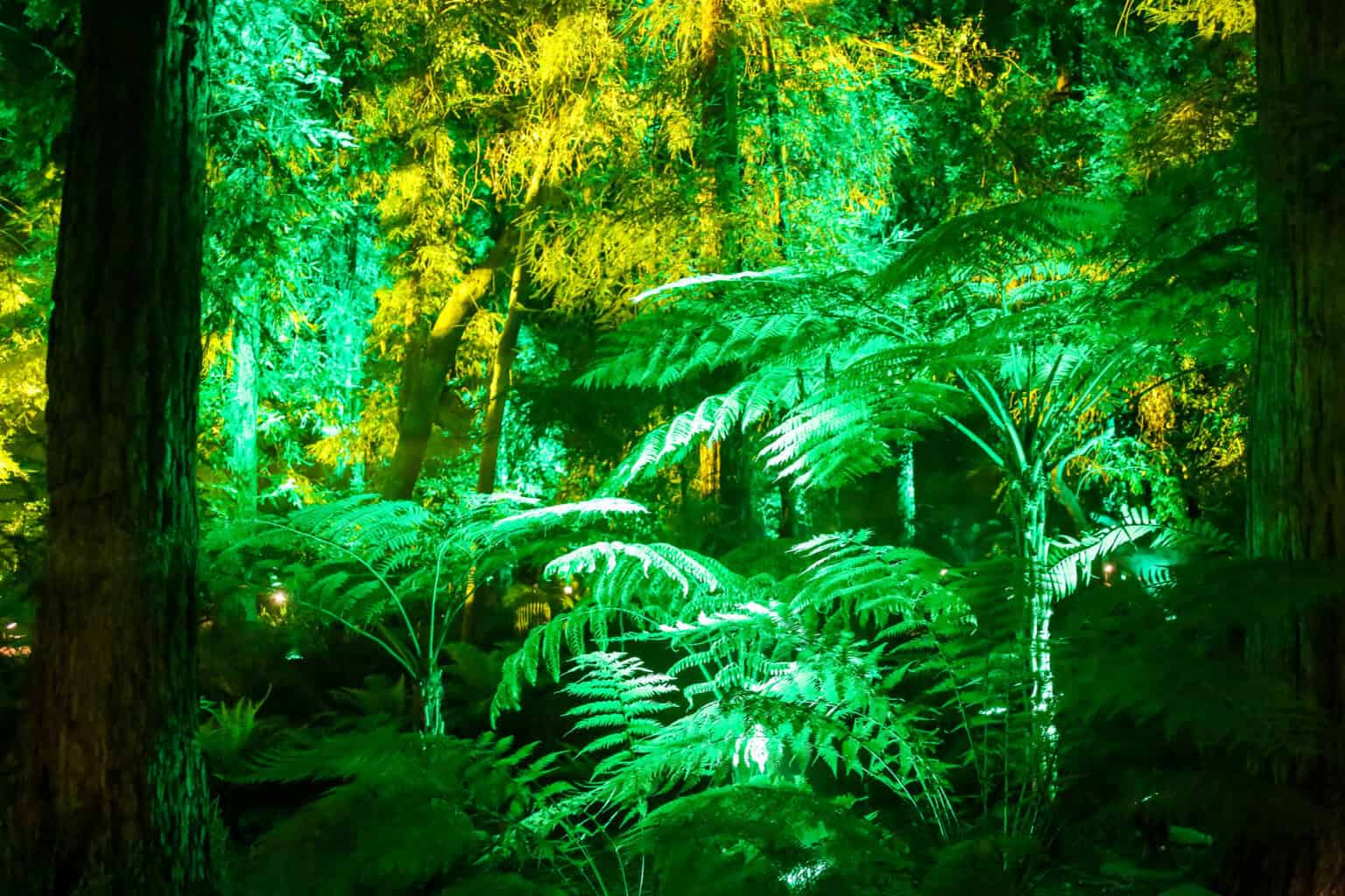 Descanso Gardens’ Enchanted 2024 Returns With Sparkling Magic ...
