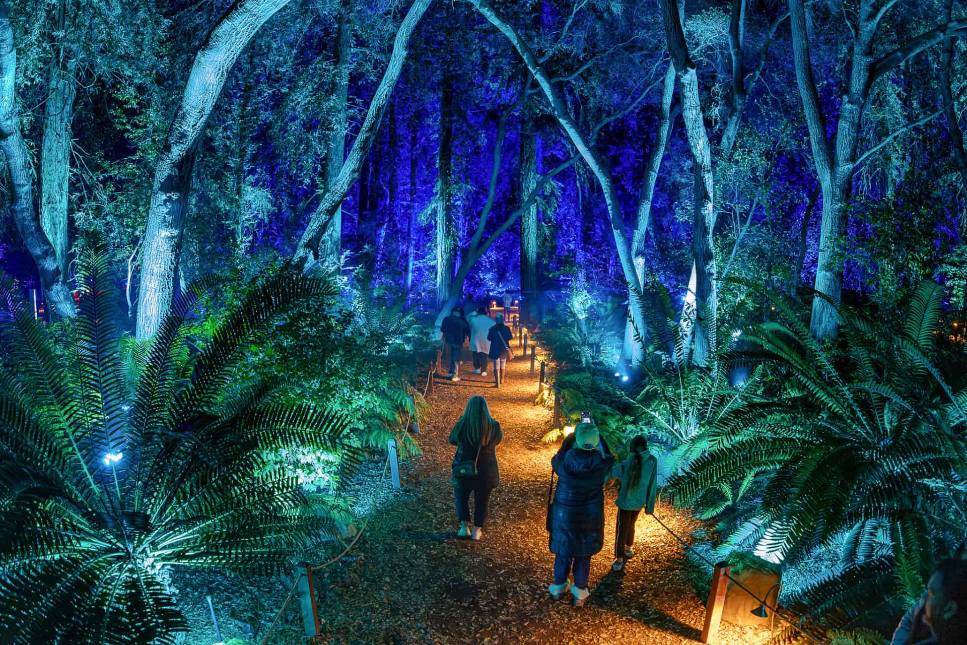 Descanso Gardens’ Enchanted 2024 Returns With Sparkling Magic ...