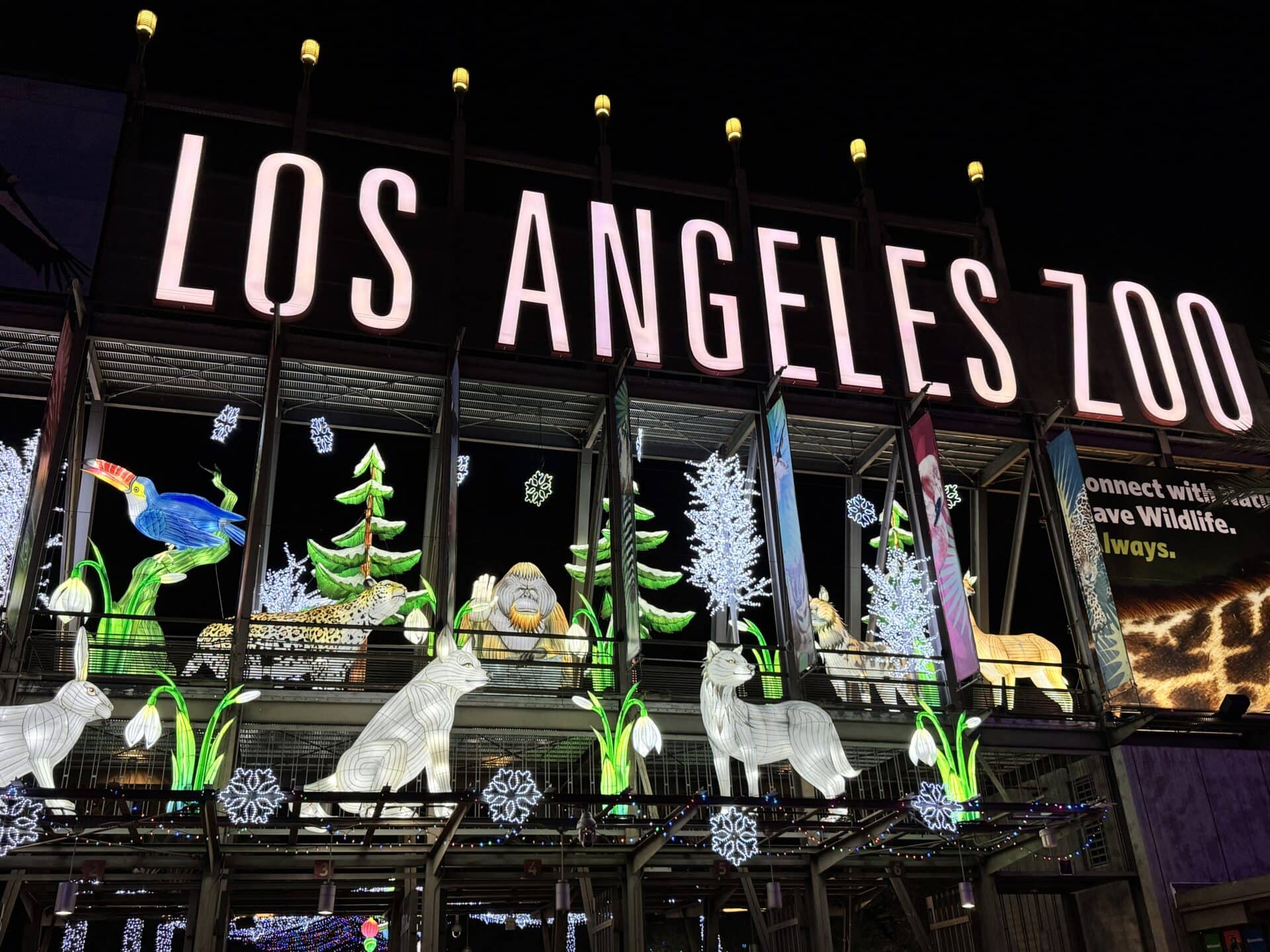 REVIEW: LA Zoo Lights Animals Aglow is the perfect holiday night out ...