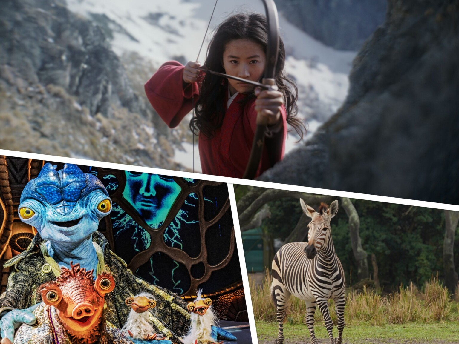 Disney+ and Hulu September 2020 Listings - Socalthrills.com